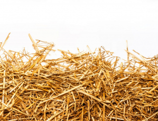 Farmers Fresh Market | Ignacio Colorado Grocery Store and Deli